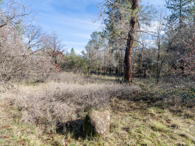 Lot 21 Black Butte Rd Avenue