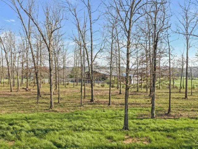 Lot 21 Garrett Street