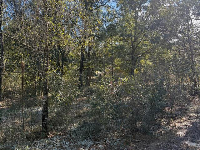 Lot 21 Grassy Pond Rd, Chipley, FL 32428 | MLS #784669 | Compass