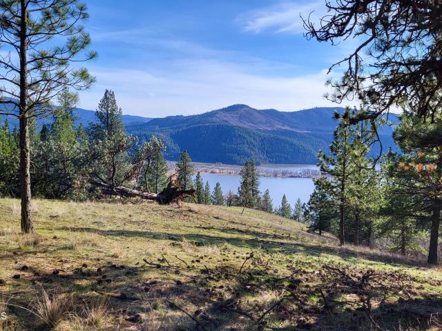 Lot 21 E Holiday Rd, Harrison, ID 83833 | MLS #26 2570 | Compass