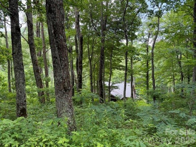 Lot 21 Odalu Trail # 21