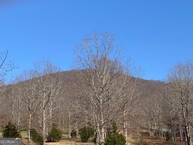 LOT 21 Long Mountain Trail