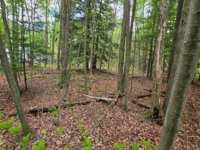 Lot 21 nordmont road
