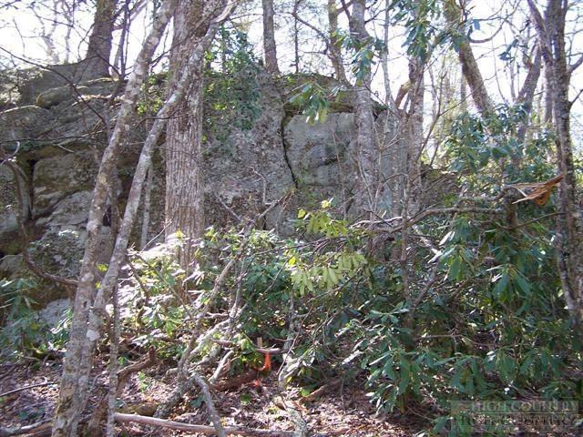 Lot #21 Scaley Bark Lane