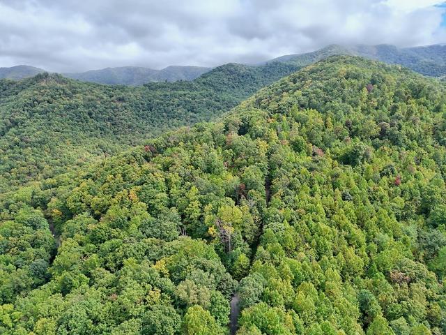 Lot 21 Skyview Overlook, Hayesville, NC 28904 | MLS #419431