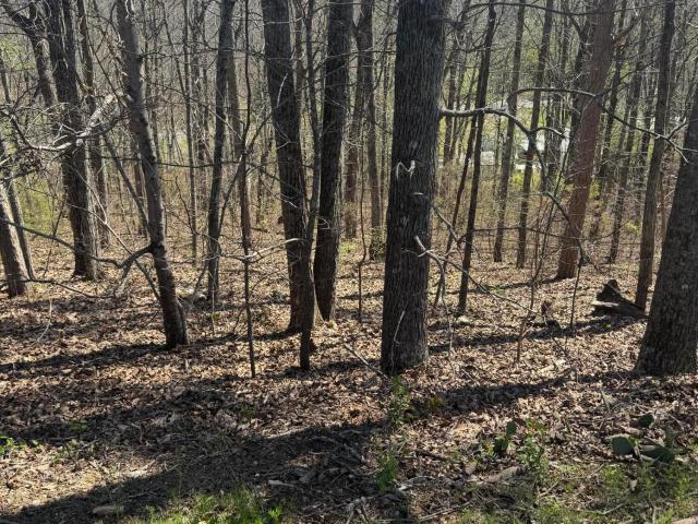 Lot 21 Stoney Point Circle