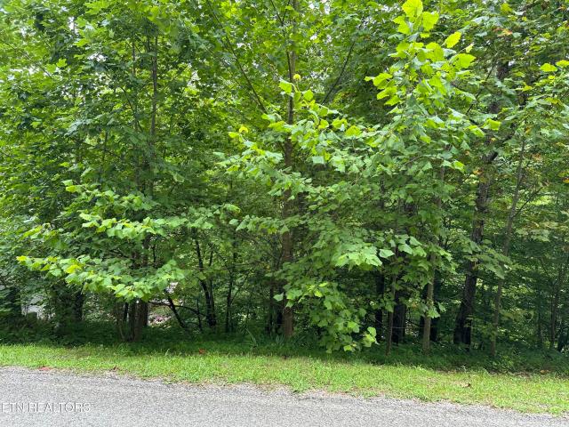Lot 21 Ridge Rd