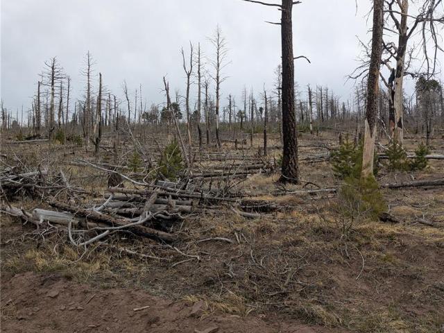 Lot 2296 Wohlstetter Loop