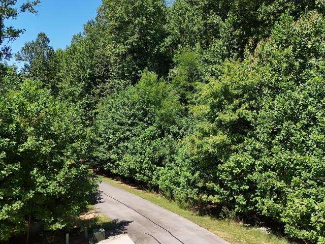 LOT 229 Stone Cliff Trace