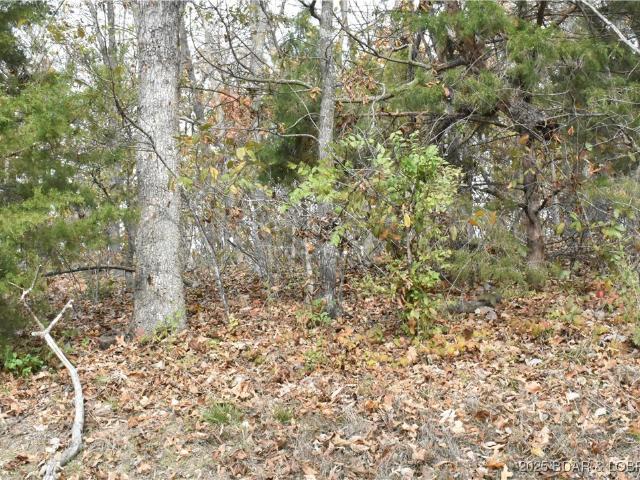 Lot 220 Imperial Point Drive