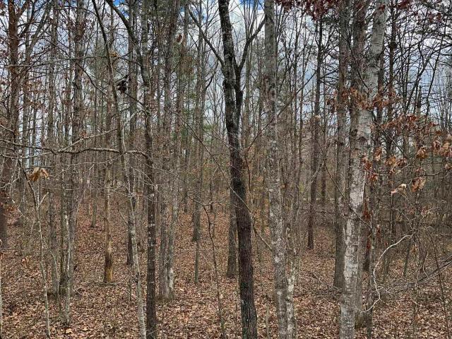 Lot 220 pinehurst dr