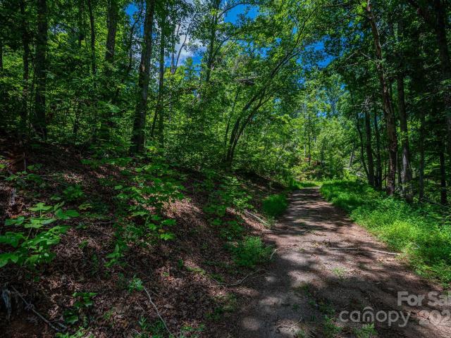 Lot 221 Plantation Dr, Rutherfordton, NC 28139 | MLS #4288