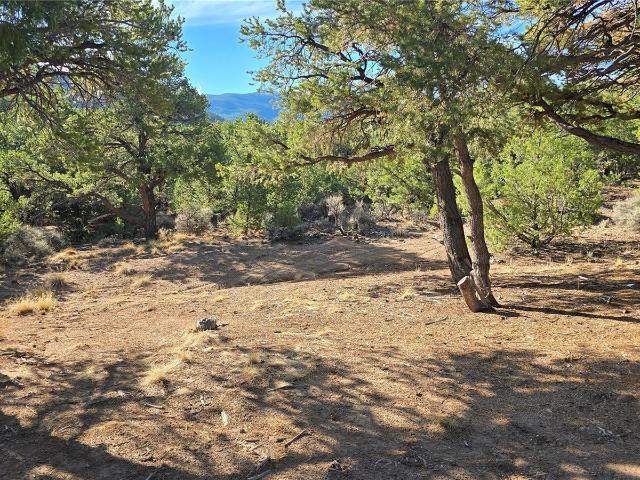 Lot 2232 Solaz Road