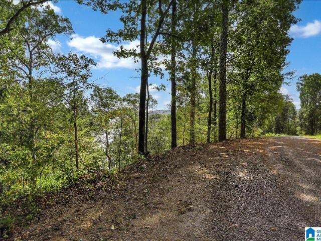 Lot 22 county road 875 # 22