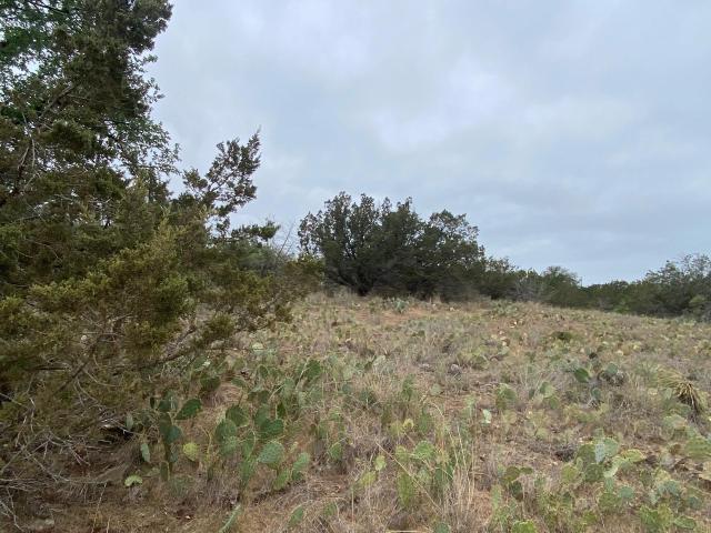 Lot 22 Cr 140 Burnet, TX 78611 | MLS #175870