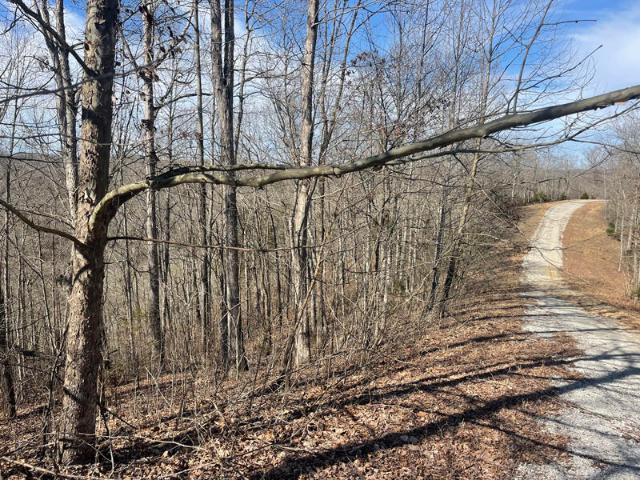 Lot 22 Cumberland Shores