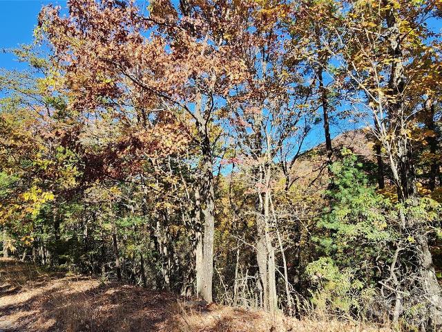 Lot 22 A Pinnacle Parkway # 22 A