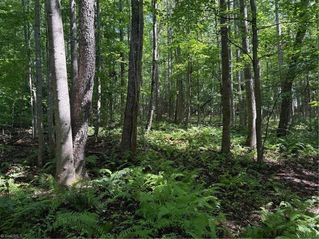 Lot 22 Austin Traphill Road