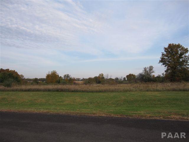 Lot 22 Grace Ln, Edwards, IL 61528 | MLS #PA1149