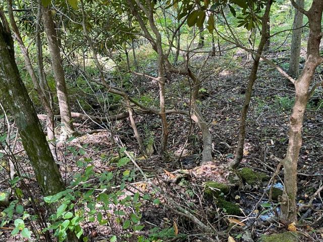 Lot 22 High Meadows, Hayesville, NC 28904 | MLS #425223