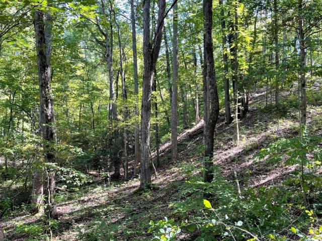 LOT 22 High Meadows