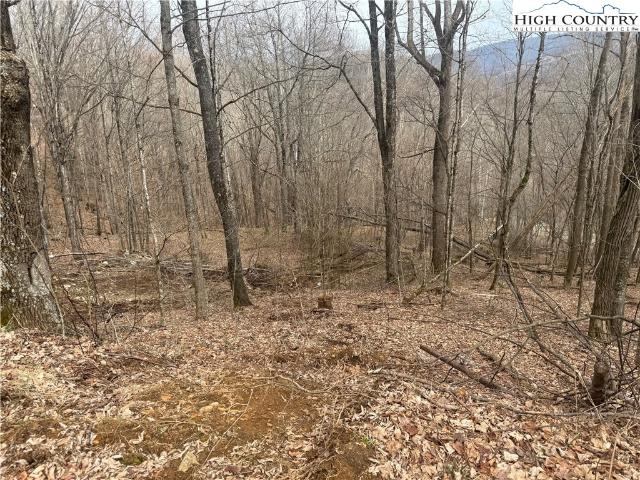 Lot 22 Jewel Weed Trail