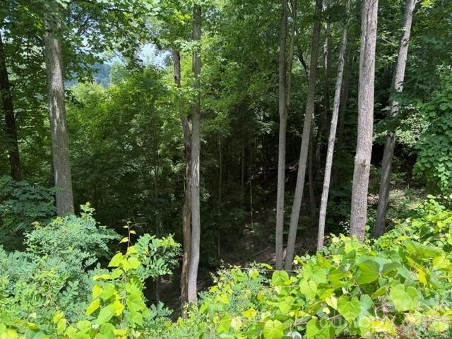 Lot 22 Spring Rock Rd, Burnsville, NC 28714 | MLS #4403