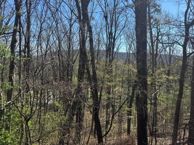 Lot 22 Stoney Point Circle