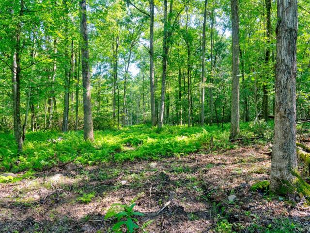 Lot 22 Perry Pond Road