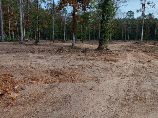 Lot 22 Plum Pudding Rd, Livingston, TX 77351 | MLS #85585 | Compass