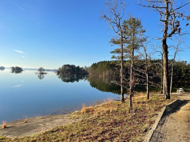 Lot 22 plantation point