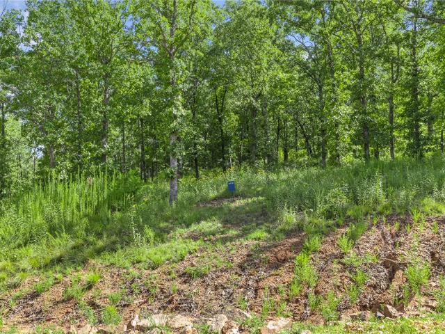 Lot 22 Restore Ridge