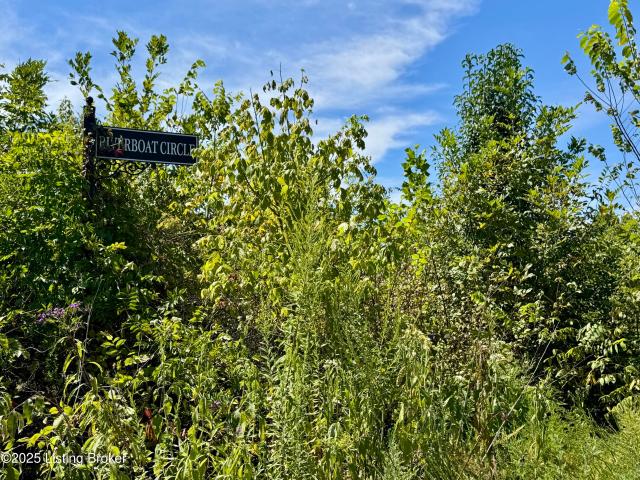 Lot 22 Riverboat Cir