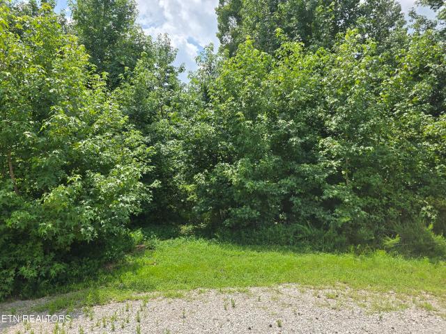 Lot 22 Twin Feathers Dr