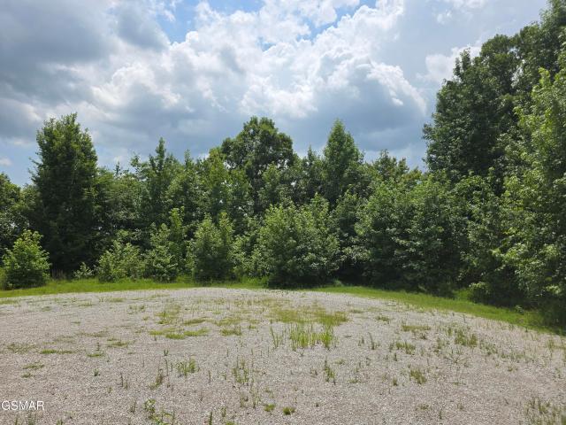 Lot 22 Twin Feathers Dr