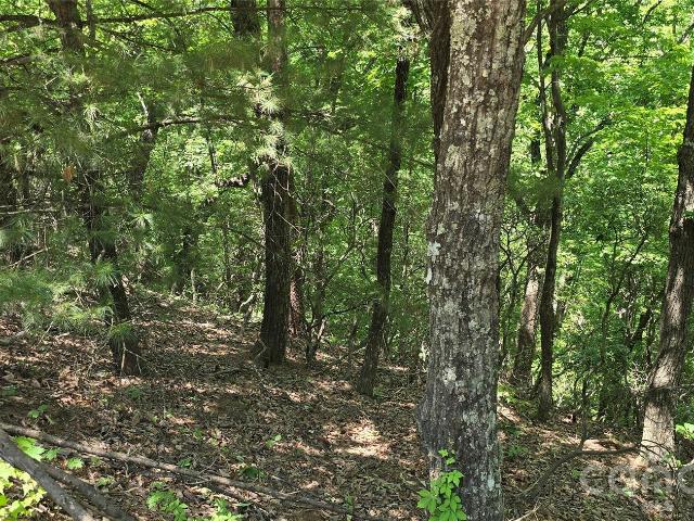 Lot 22B Pinnacle Parkway