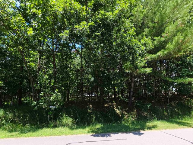 Lot 234 Kings Way