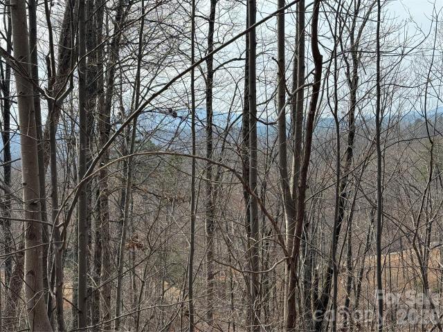Lot 236 Rock Ledge Dr Lake, Lure, NC 28746 | MLS #4365
