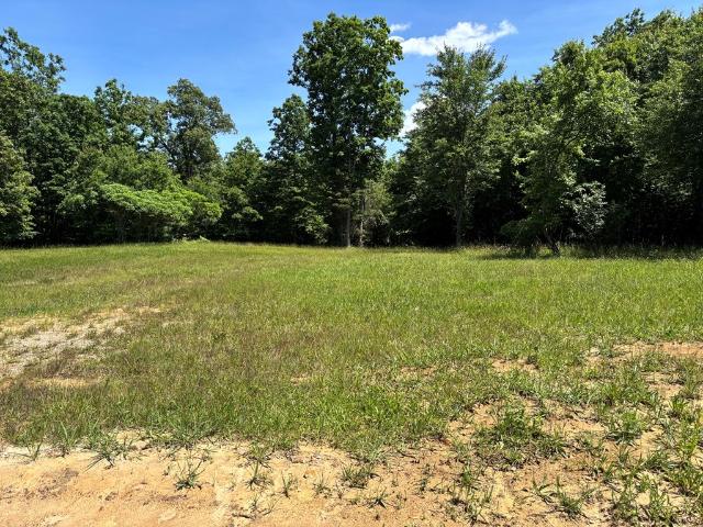 Lot 238 Long Branch Road
