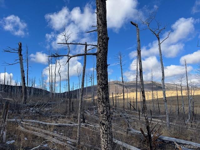 Lot 2397 Petito Dr, Fort Garland, CO 81133 | MLS #9895 | Compass