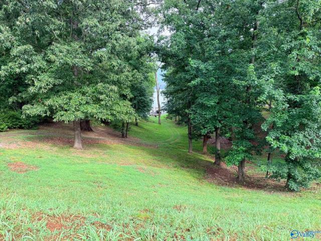 Lot 230 Lookout Mountain Drive