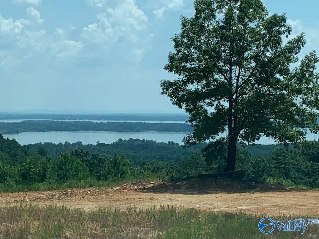Lot 231 County Road 767 #231