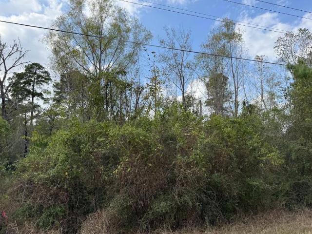 Lot 233 makaha dr
