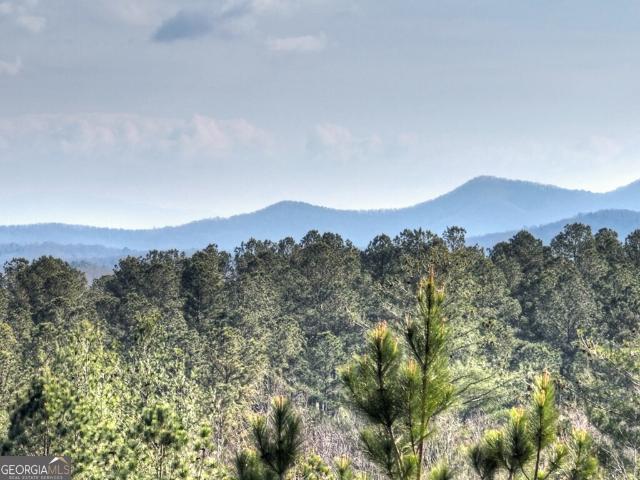 Lot 233 Ridge Pointe Way, Blairsville, GA 30512 | MLS #10724 | Compass