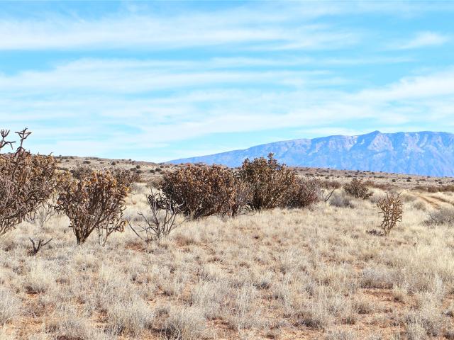 Lot 23, 24, 25 Rio Rancho Estates NE