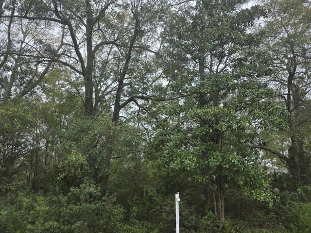 Lot 23 24 Riverview Dr, Calabash, NC 28467 | Compass