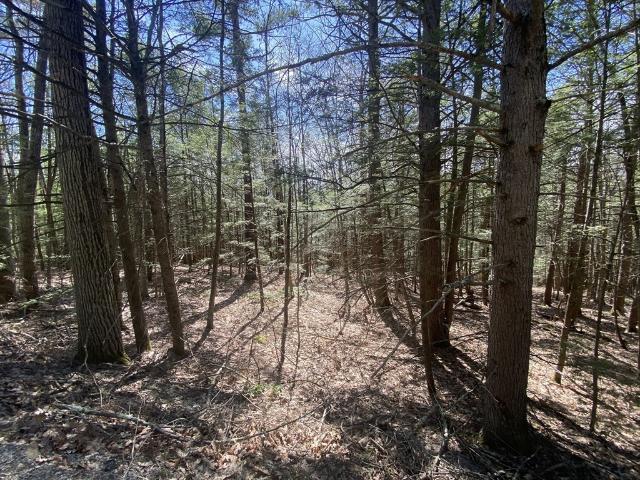 Lot 23 25 Hawk Hill Rd