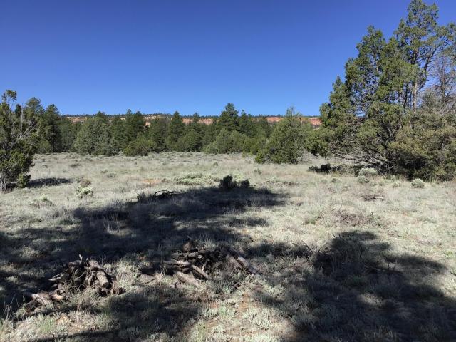 Lot 23 Cottonwood Lane