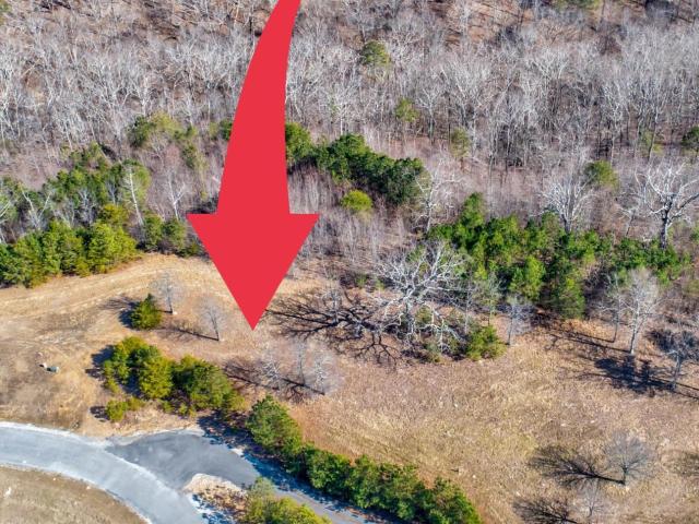 Lot 23 County Road 767