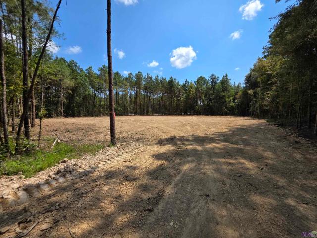 Lot 23 Copper Pass, Livingston, LA 70754 | MLS #BR2025022 | Compass